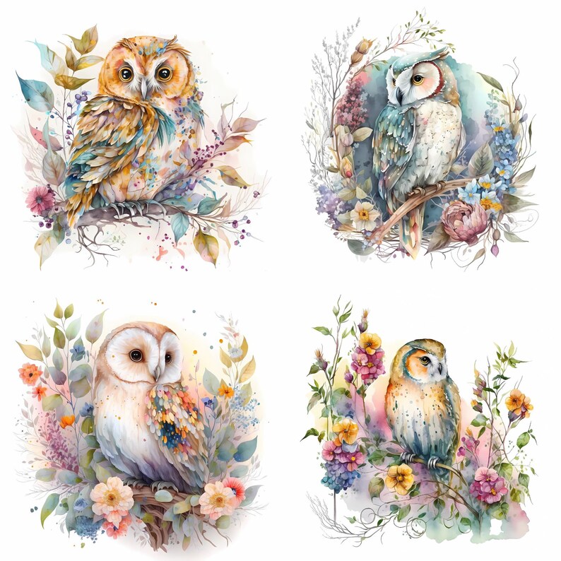 Owl Colorful Clipart Watercolor Illustration Spring Floral - Etsy