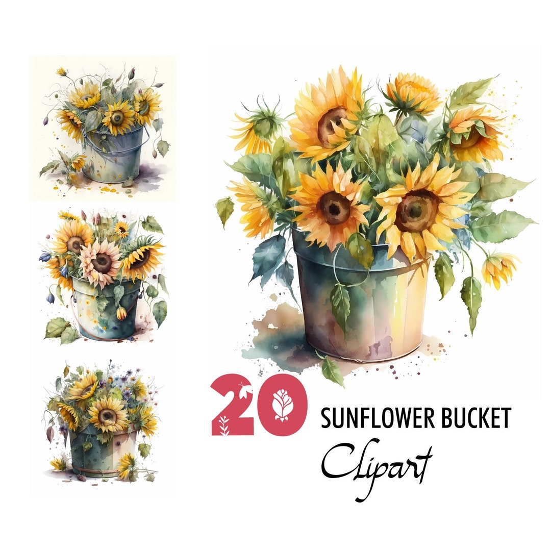 Sunflower Bucket Clipart Floral Boho Plant Wildflower Digital Illustration Paper Craft Image ...