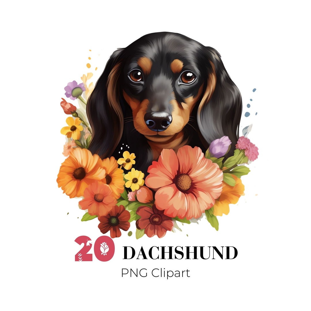 Dachshund Puppy Clipart Sausage Wiener Dog Dackel Teckel Doxie ...