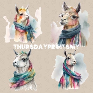 Llama With Scarf PNG Clipart Animal Digital Illustration Paper Crafting ...