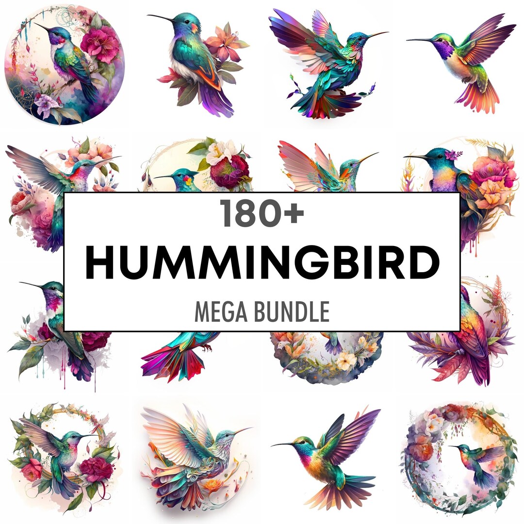 180+ Hummingbird Mega Bundle Clipart Bird Graphic Illustration Image ...