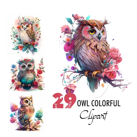 Spring Owl Clipart