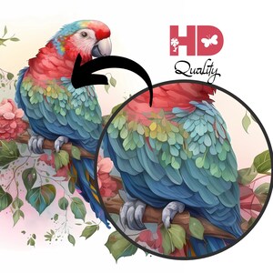 Parrot Clipart Digital Illustration Macaw Bird Lovebird Paper Crafting ...