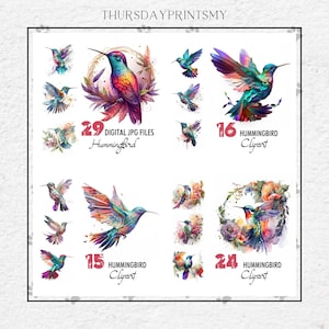 180+ Hummingbird Mega Bundle Clipart Bird Graphic Illustration Image ...