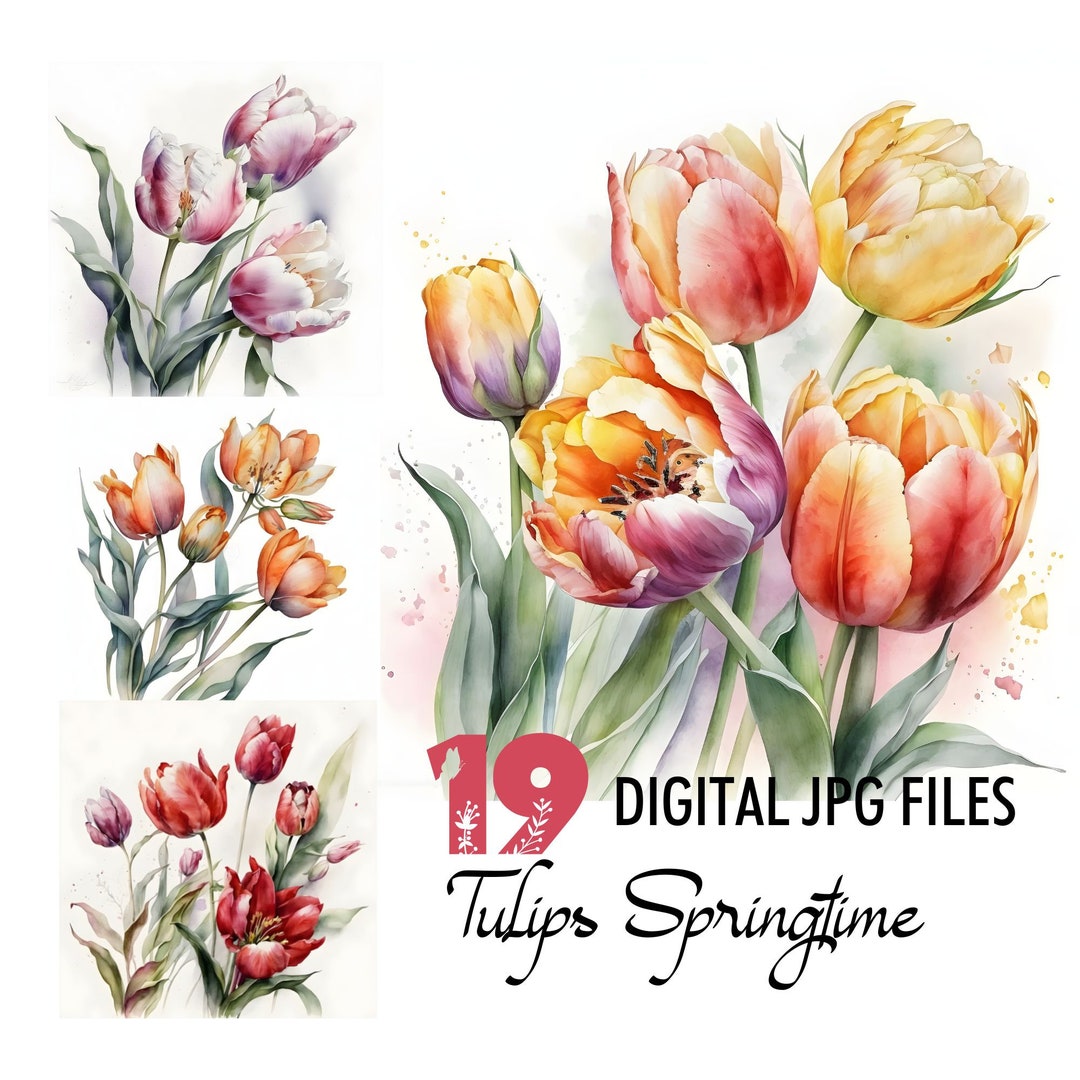 Tulips Springtime Watercolor Clipart Floral Flower JPG Illustration ...