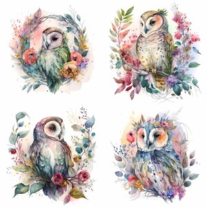 Owl Colorful Clipart Watercolor Illustration Spring Floral Digital ...