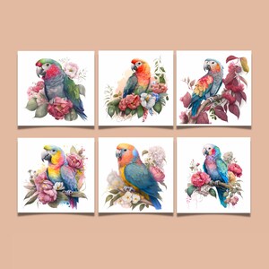Parrot Clipart Digital Illustration Macaw Bird Lovebird Paper Crafting ...