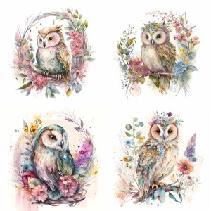 Owl Colorful Clipart Watercolor Illustration Spring Floral Digital ...