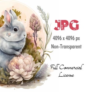 Cute Chinchilla Clipart Animal Rodent Digital Illustration Paper ...
