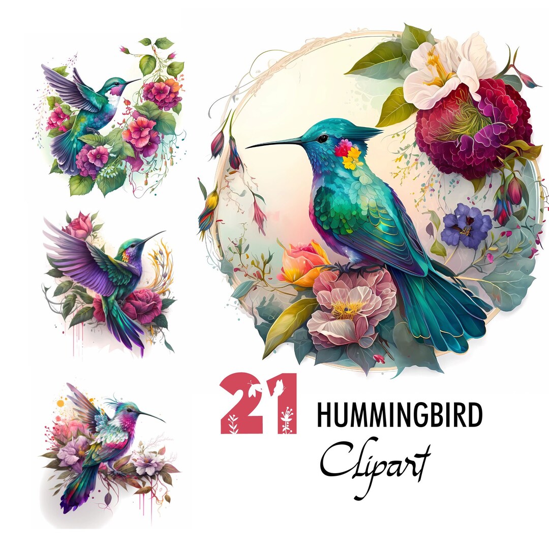 Hummingbird Clipart Digital Illustration Paper Crafting Collage Images ...