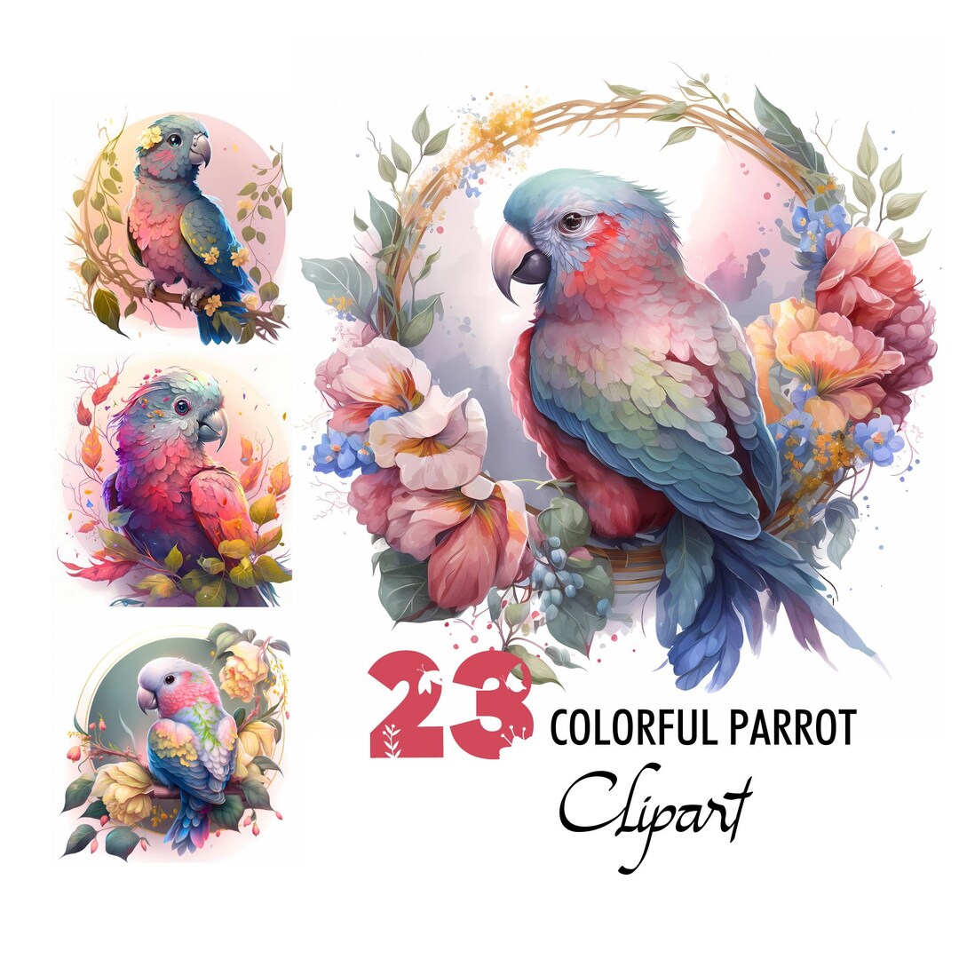 Parrot Clipart Digital Illustration Macaw Bird Lovebird Paper Crafting ...