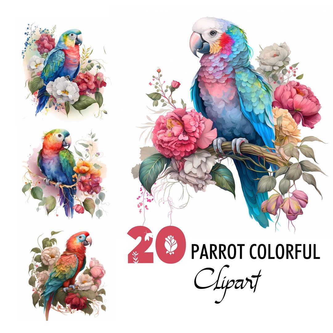 Parrot Clipart Digital Illustration Macaw Bird Lovebird Paper Crafting ...