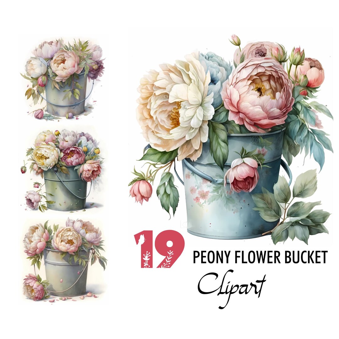 Peony Flower Bucket Clipart Peonies Floral Boho Wildflower Digital ...