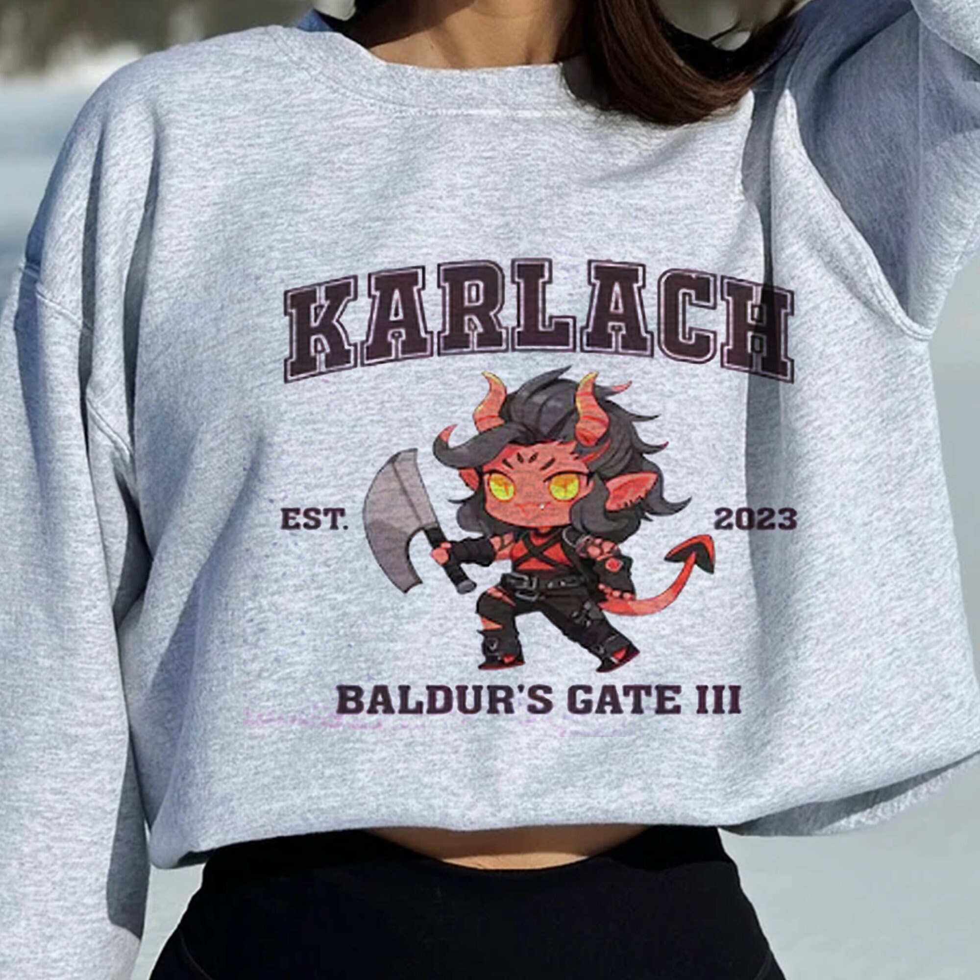 Baldur's Gate Characters Sweatshirt, Baldur's Gate 3 Sweatshirt ...