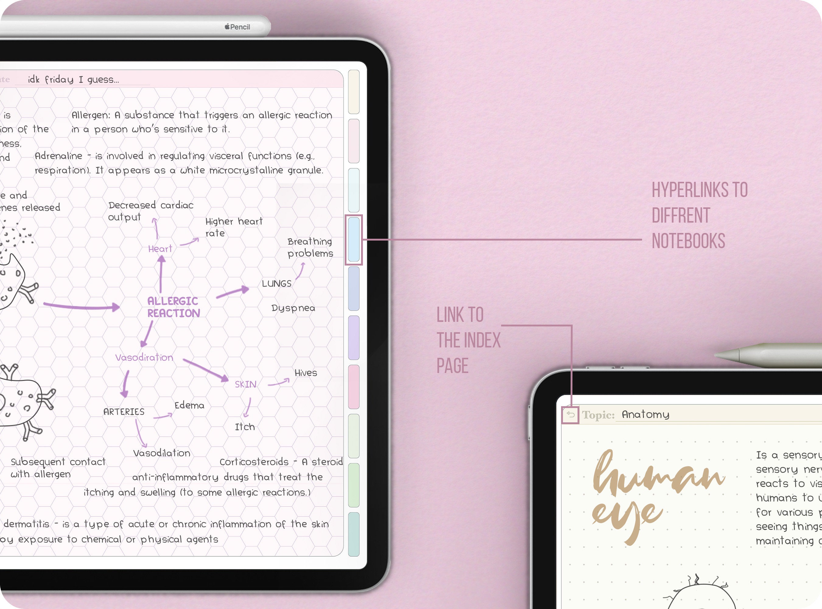 Digital Note Paper, Digital Notepad, Cornell Paper, Color Notebook ...