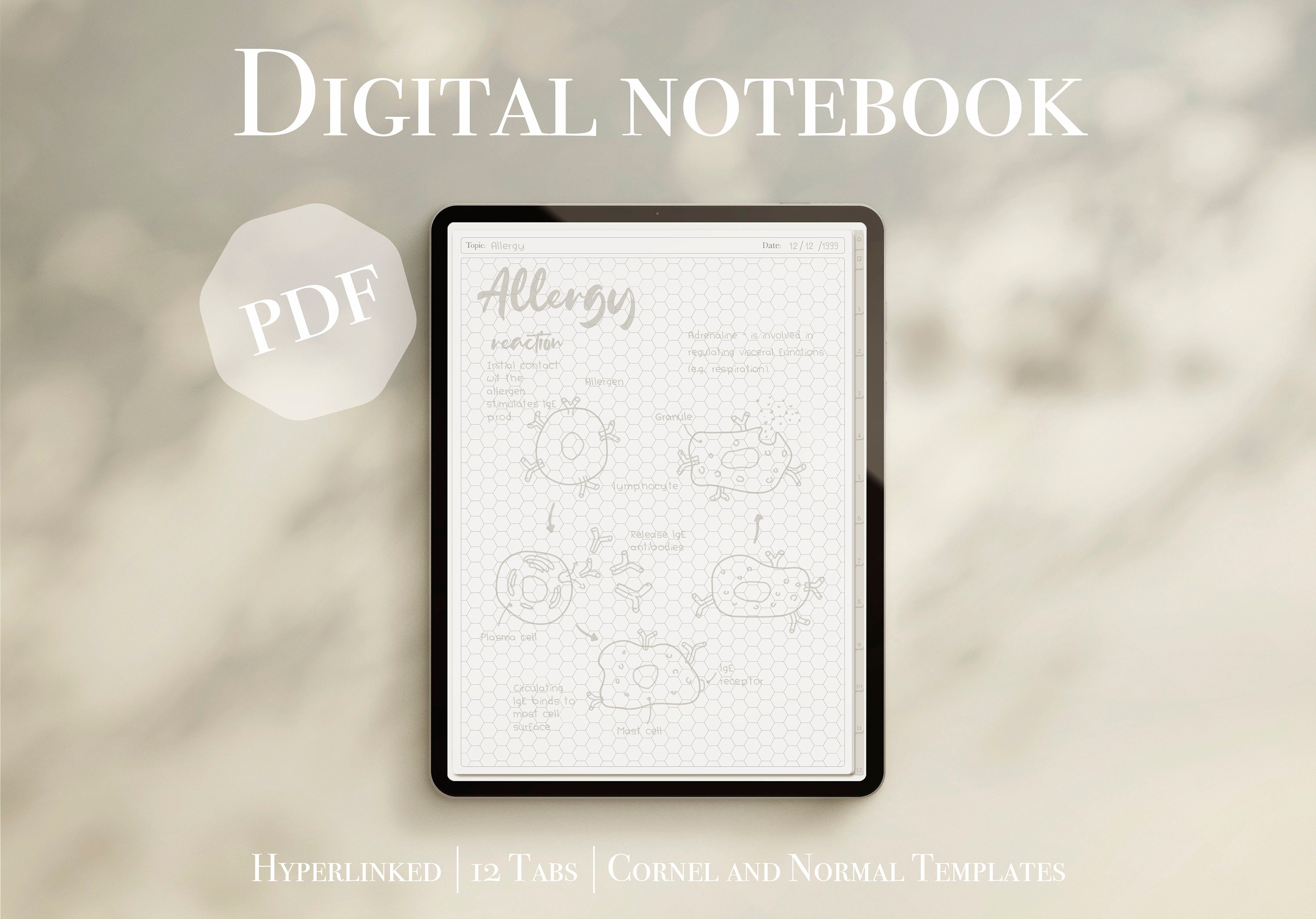 Cornell Method Template PDF Notebook Digital Note Taking - Etsy