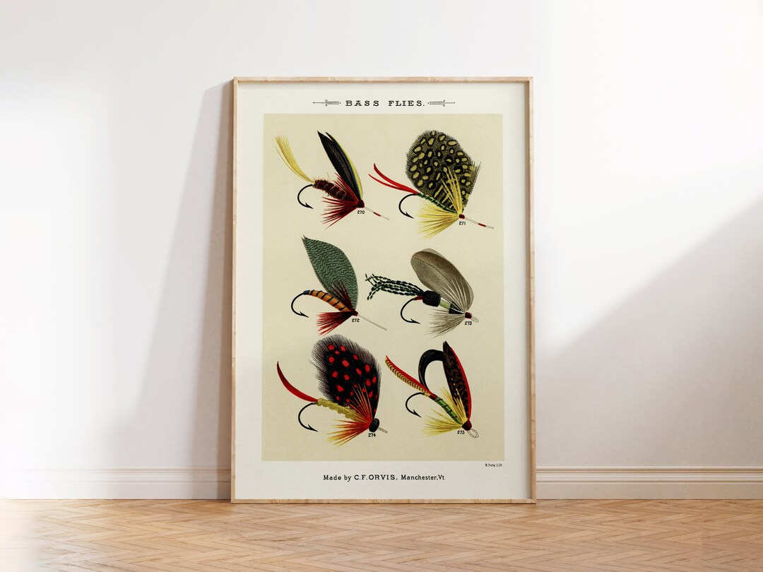 Bass Fishing Flies Poster, Man Cave Wall Art, Vintage Fly Fishing Dry ...
