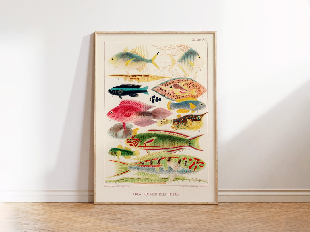 Great Barrier Reef Fish Art Print William Saville-kent Australian ...
