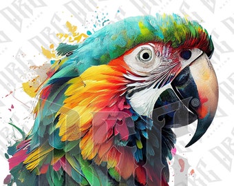 parrot illustrator