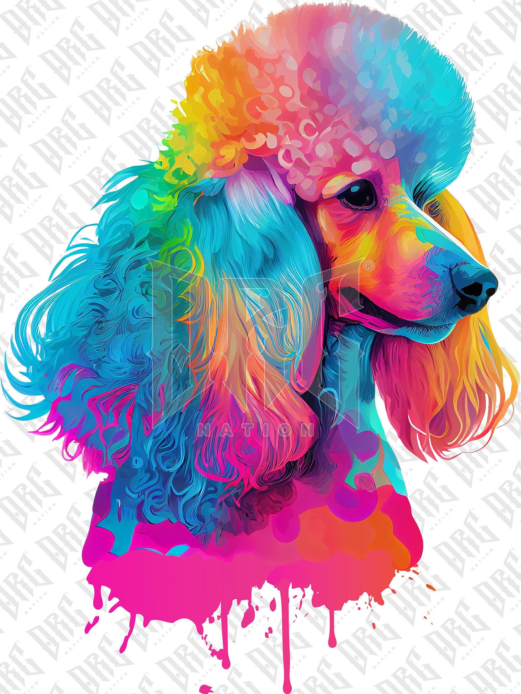 Colorful Poodle Paintings