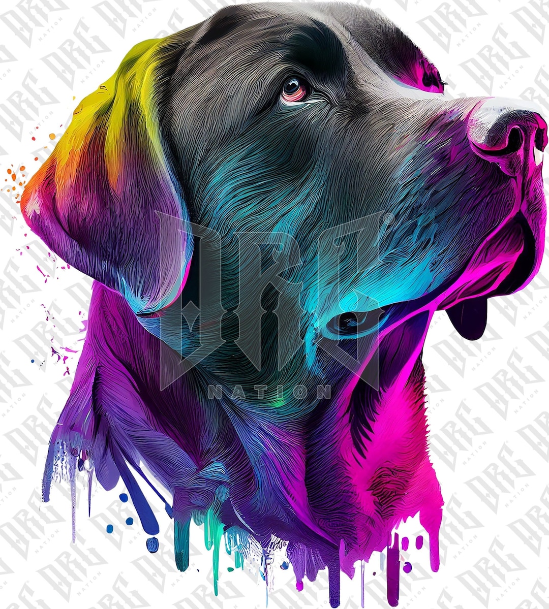 Labrador Retriever PNG | Colorful Labrador Retriever PNG Breed ...