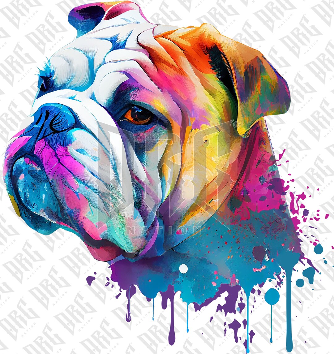 English Bulldog PNG | Colorful Bulldog Sublimation | Hand Drawn Bulldog ...