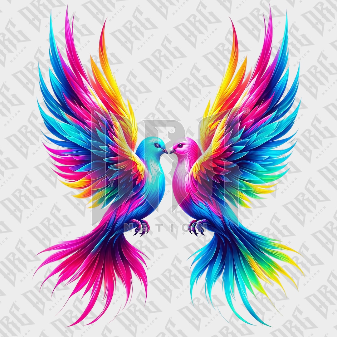 Colorful Twin Doves Artwork - Etsy