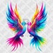 Colorful Twin Doves Artwork - Etsy