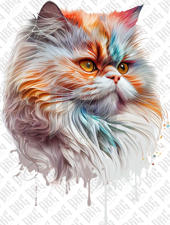 Persian Cat Drawing