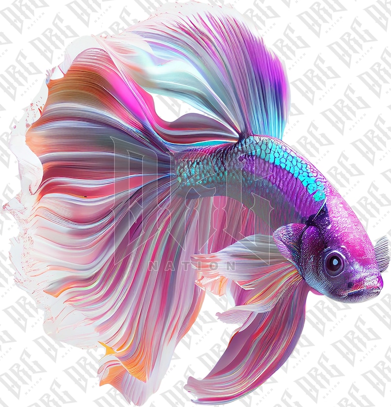 Betta Fish PNG Fish Sublimation Design Trendy Fish PNG - Etsy