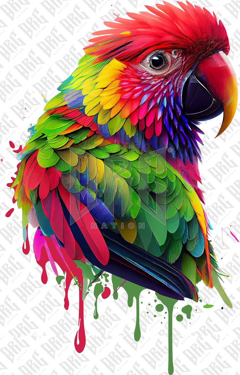 Colorful Parrot PNG Parrot Sublimation Design Trendy Bird - Etsy