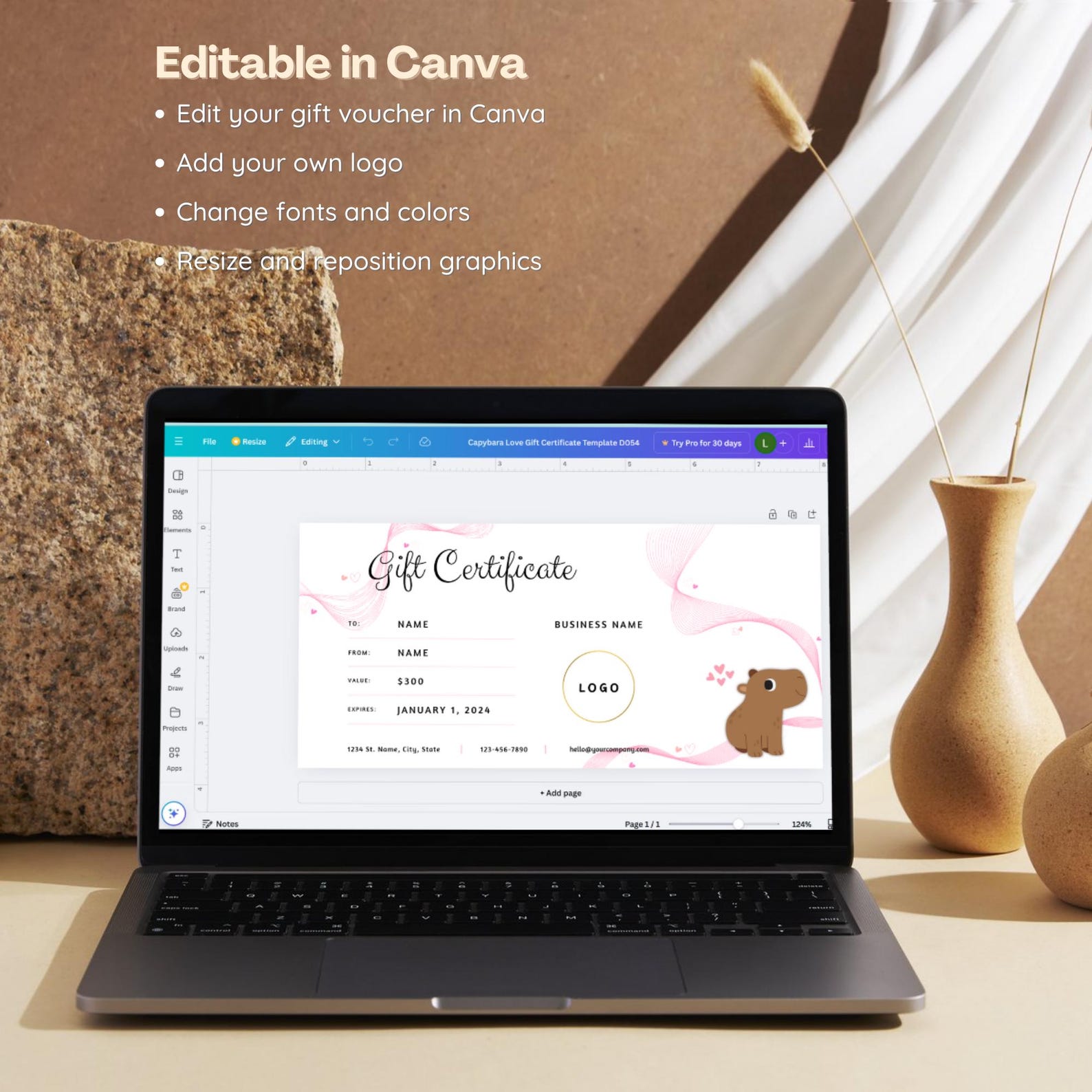 Gift Certificate Editable Canva Template | Gift Coupon, Gift Voucher ...