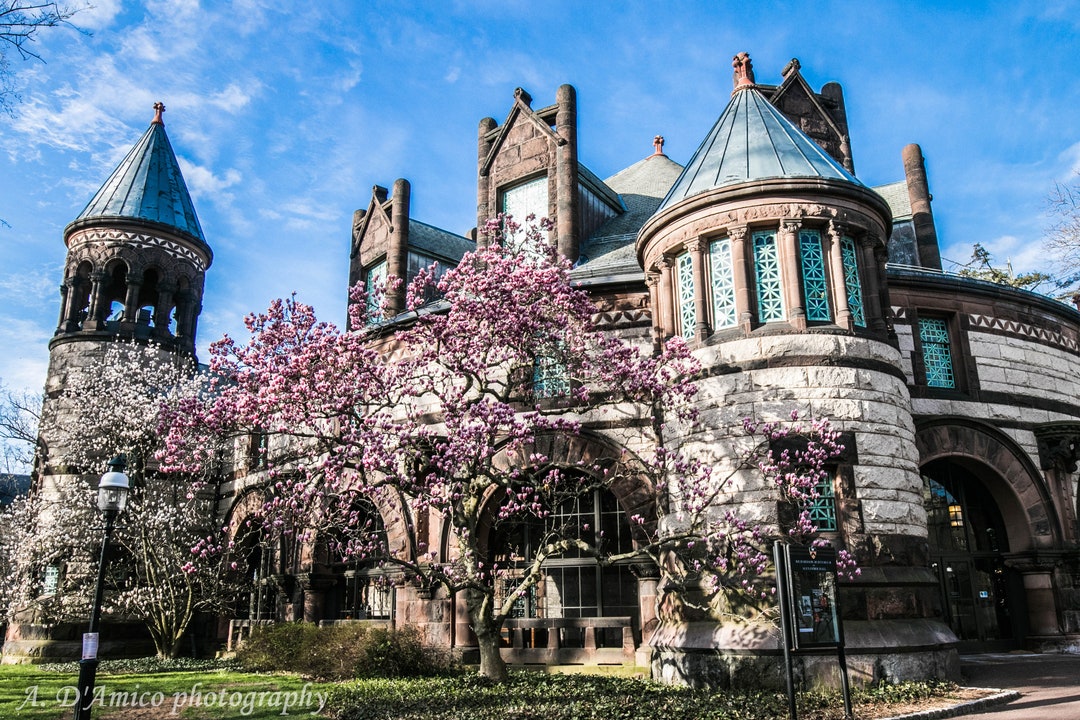 Alexander Hall in Spring Princeton University, Photographs, Photos ...