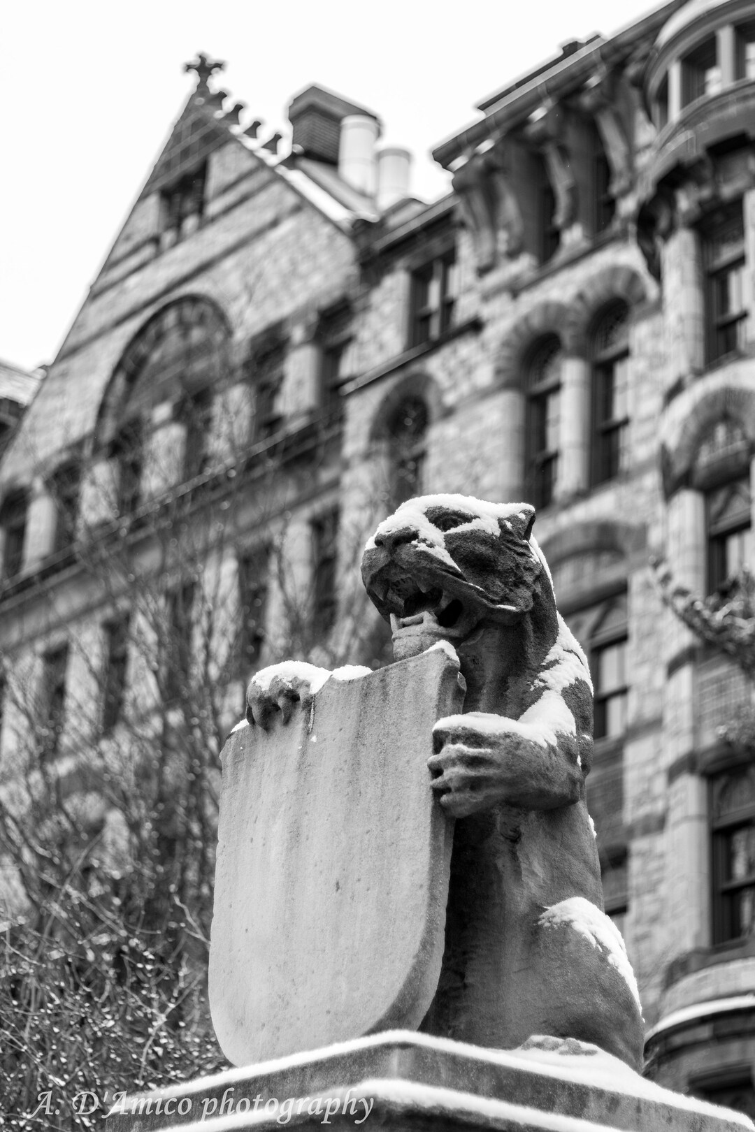 Gothic Architecture at Princeton University, Photographs, Photos ...
