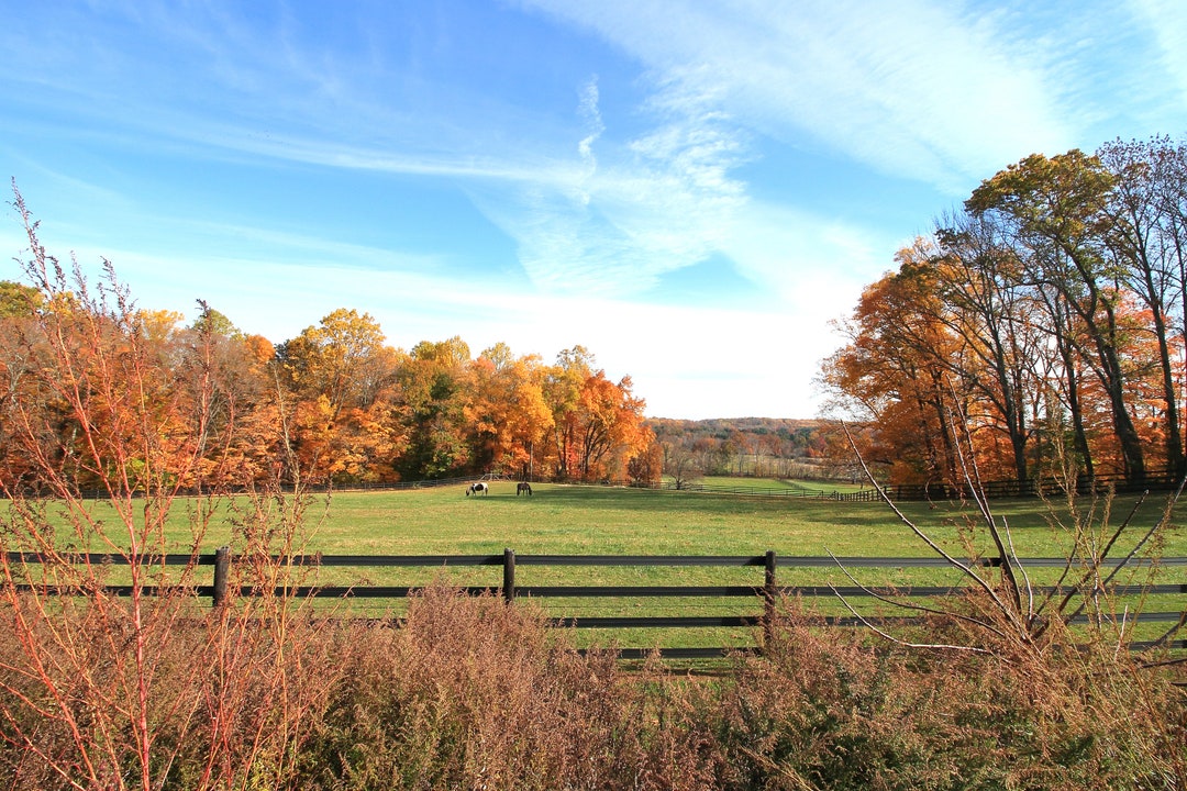 Fall on the Horse Farm, Photographs, Photos, Prints, Photography - Etsy