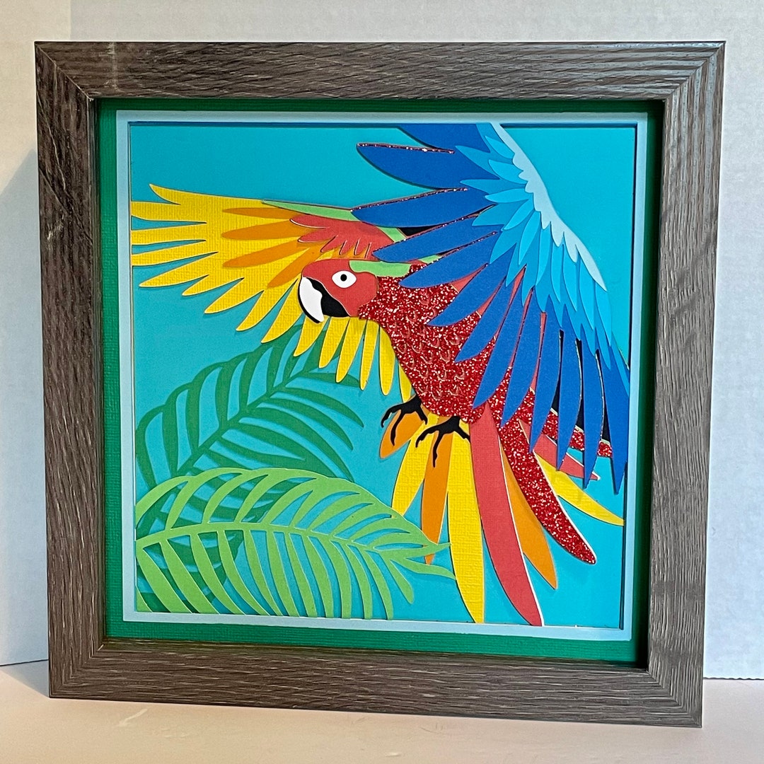 PARROT Shadow Box - Etsy