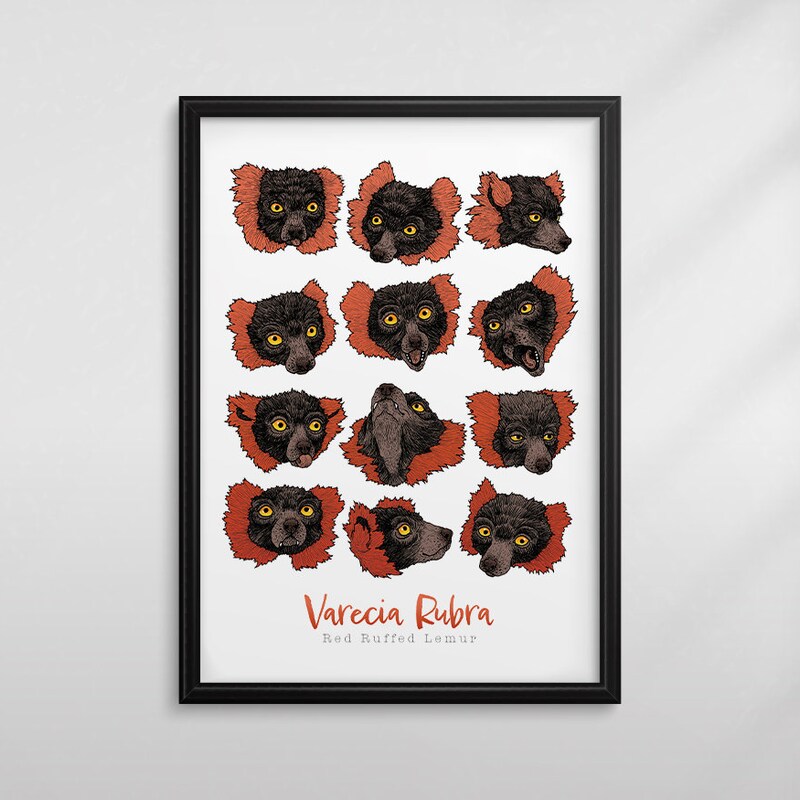 Lemur Print - Etsy