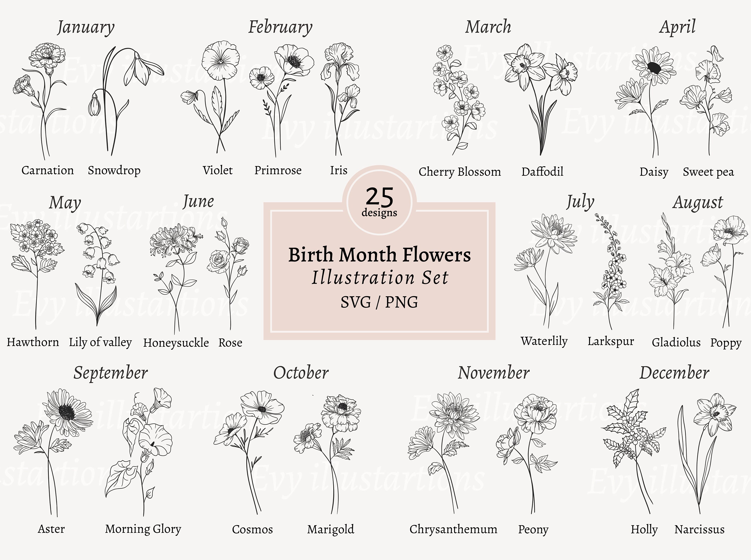 Birth Month Svg Bundle, Flower Svg, Birth Flower Svg, Floral Svg ...