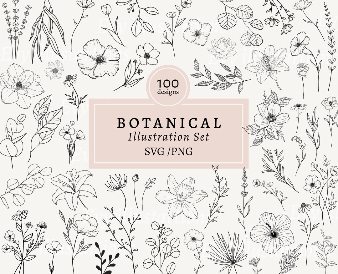 100 Floral Svg Bundle | Botanical Svg | Flower Svg | Floral Svg | Plant ...