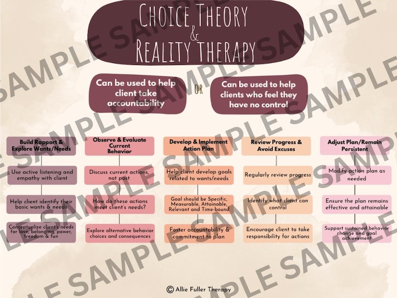 Choice Theory Reality Therapy Interventions Flowchart for Therapists - Etsy