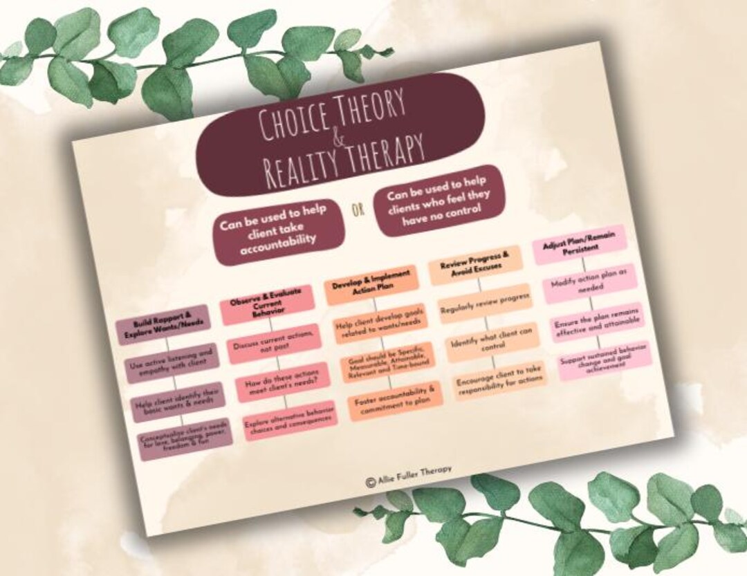 Choice Theory Reality Therapy Interventions Flowchart for Therapists - Etsy