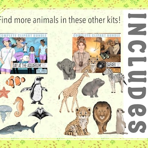 Zoo Clipart, Baby Animals PNG, Planner Kit Bundle, Elephant Tiger Panda ...