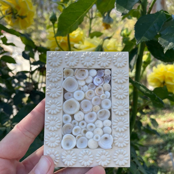 Framed Shell Art - Etsy