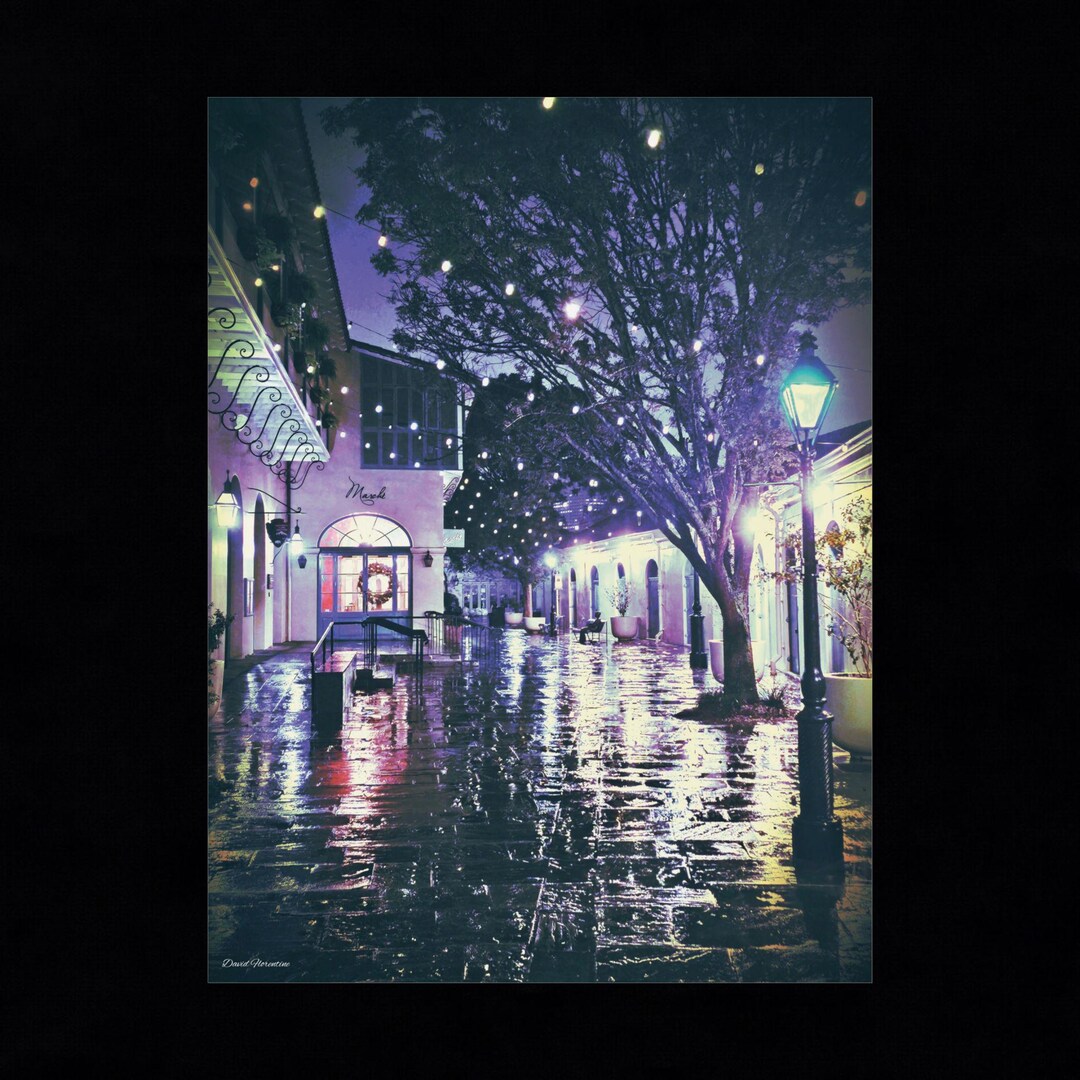 Rainy Dutch Alley, French Quarter. - Etsy