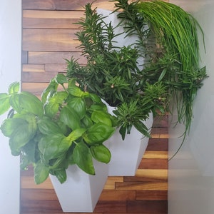 Starter Kit Stackable Wall Garden Stackable Wall Planters Starter Kit ...