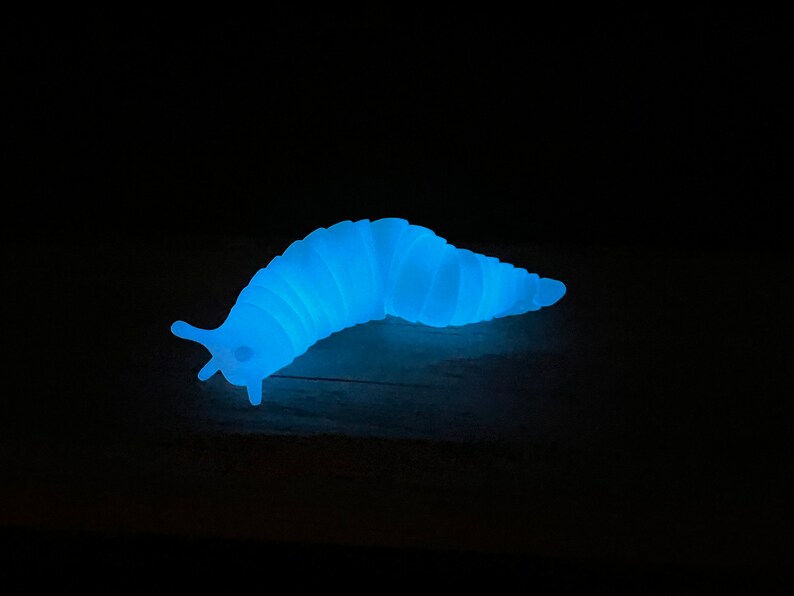 3d Printed Multi-colored Slug Fidget Toy - Etsy