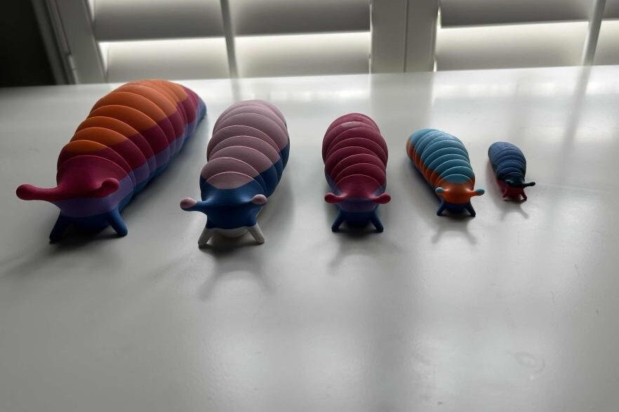3d Printed Multi-colored Slug Fidget Toy - Etsy Canada