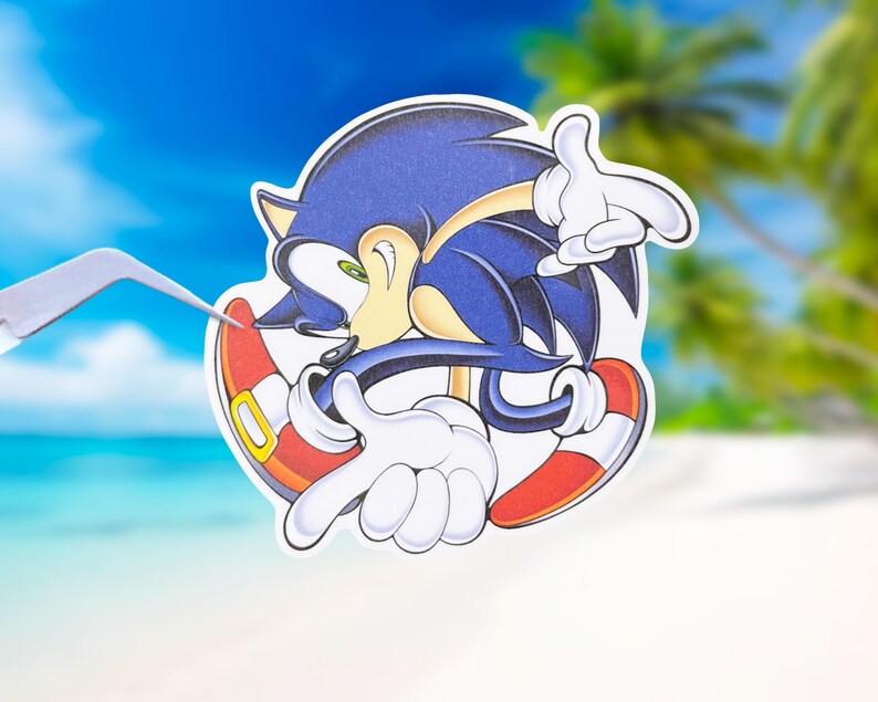 Jet Set Sonic (+ Alternative Outfits) - Sonic the Hedgehog - Sticker - Etsy