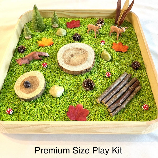 Sensory Kit - Etsy
