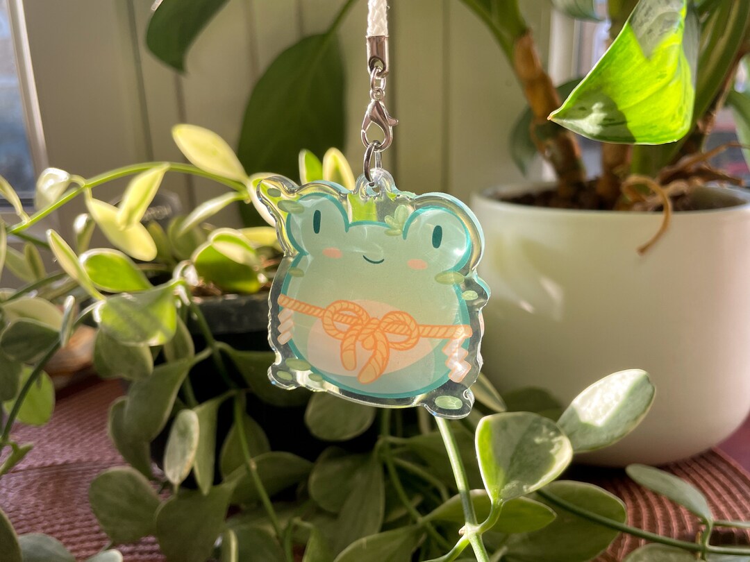 Cute Frog Acrylic Keychain Charm Kawaii Keychains Cute - Etsy UK